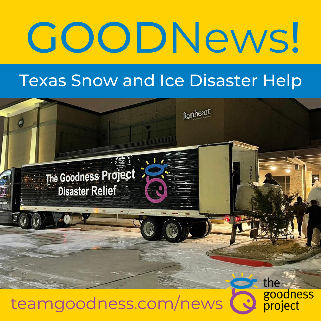 Texas Snow and Ice Disaster Help- GOOD News! - The Goodness Project